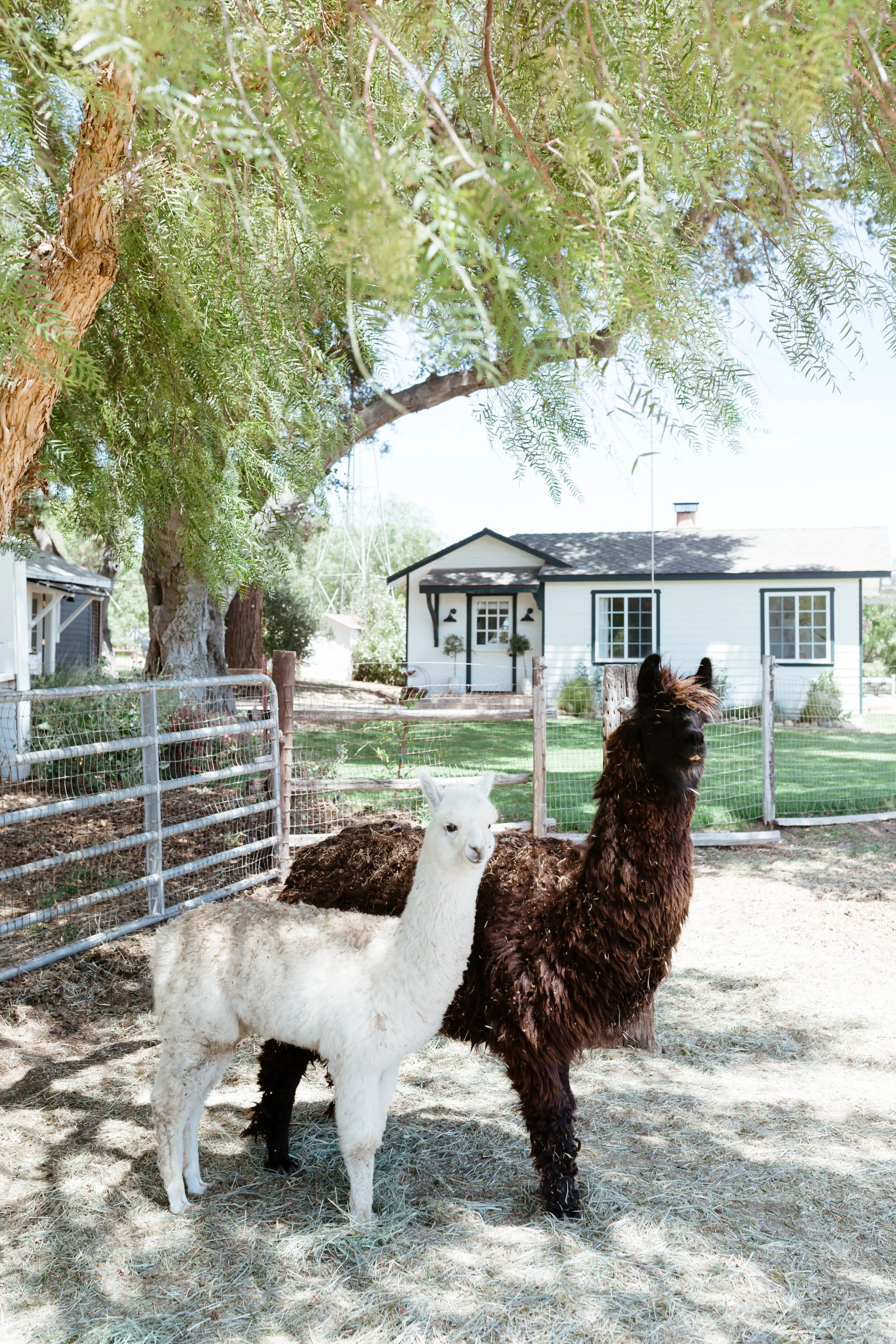 A Santa Ynez Ranch Experience — FULL MOON FARMS