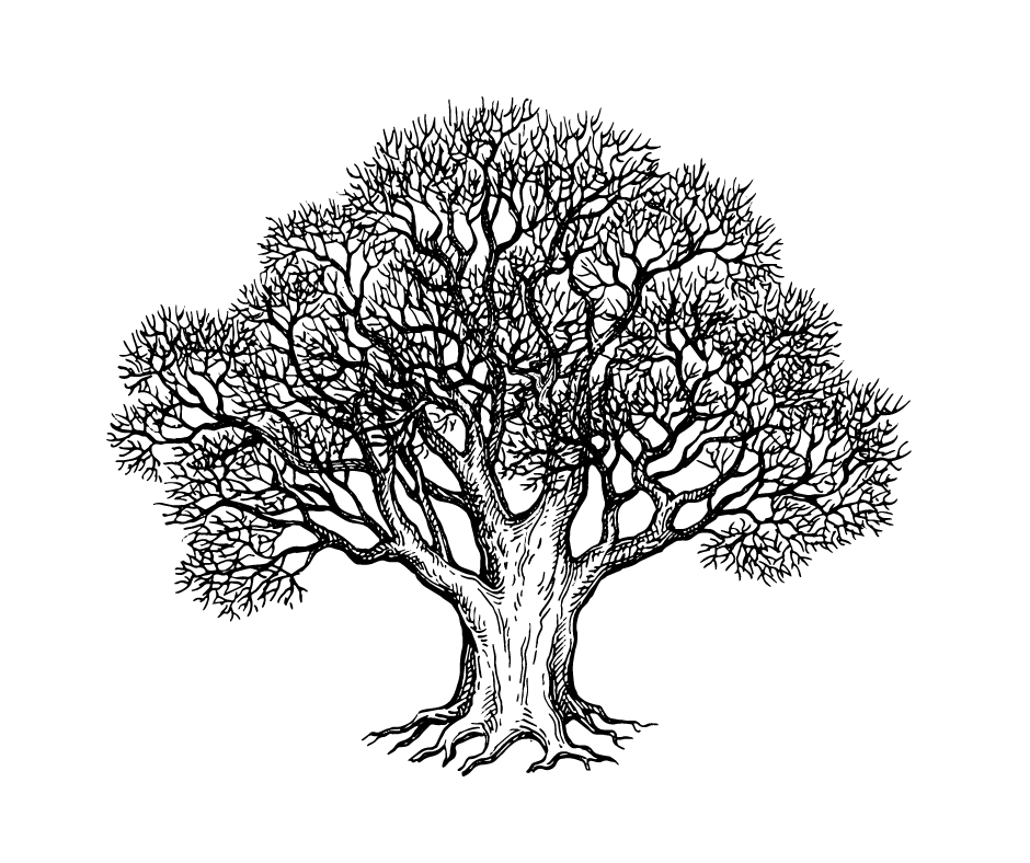 Glynn County Tree Information — GIFT