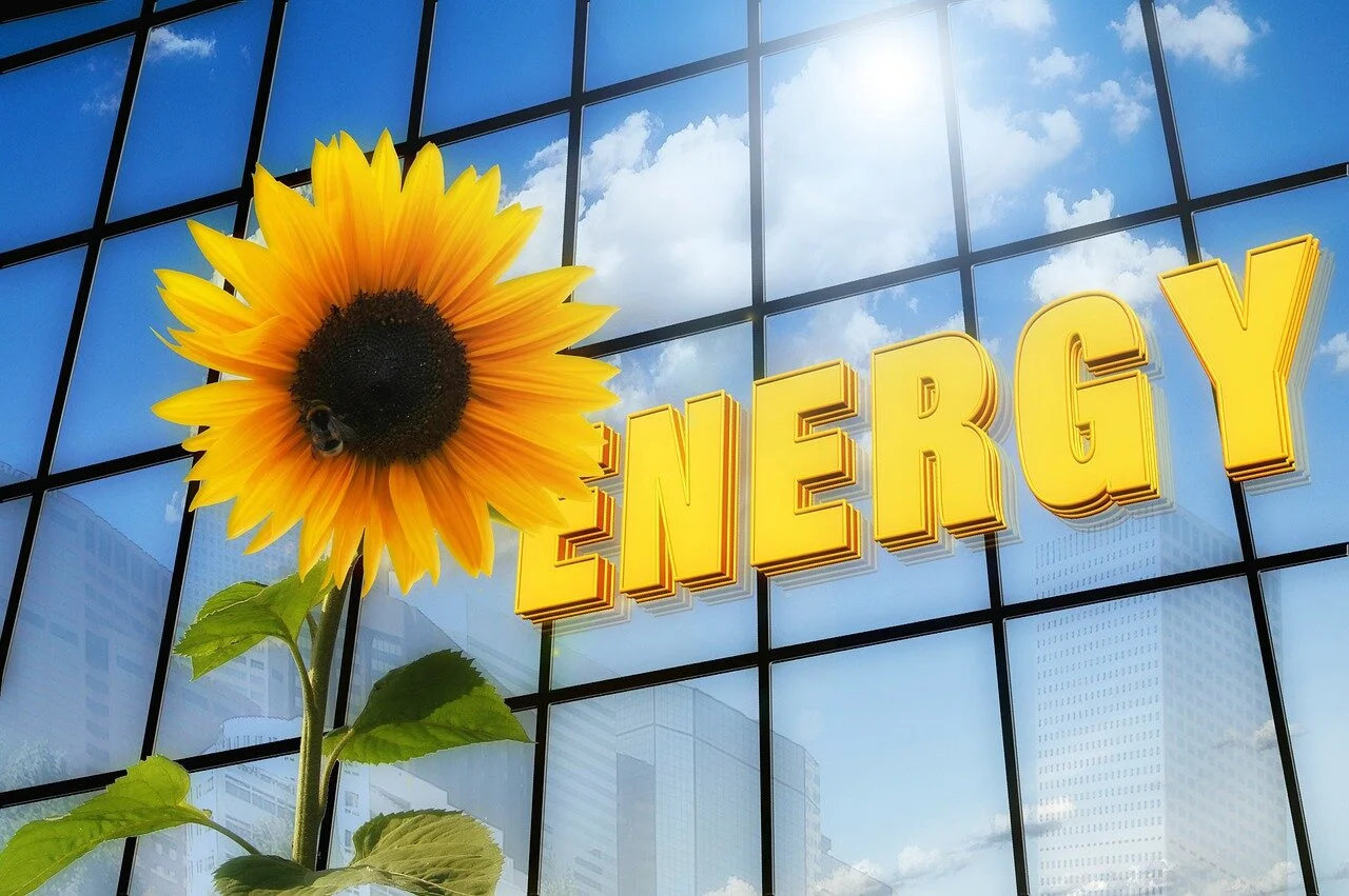 Cells And Their Energy At Work The Common Caveat cells-and-their-energy-at-work-the-common-caveat