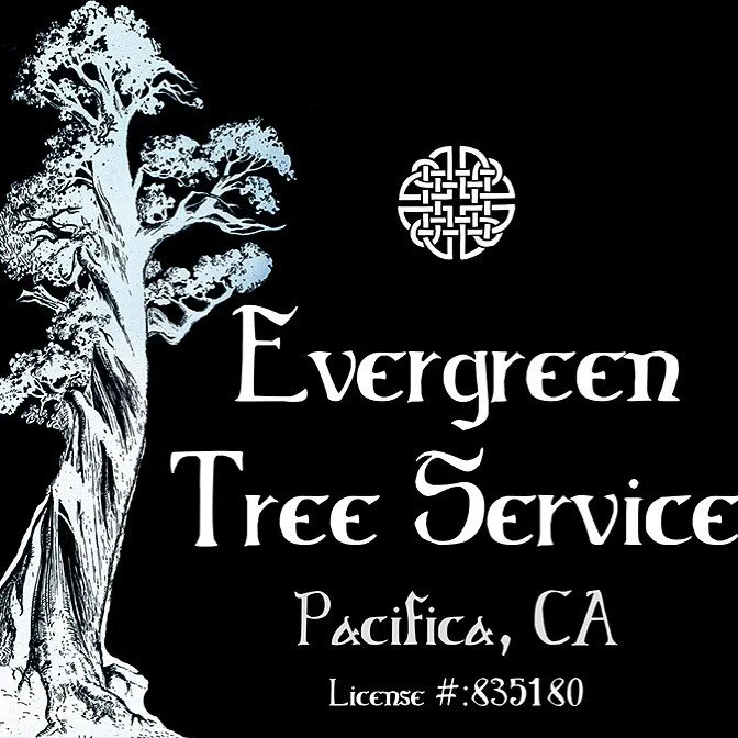 About — Evergreen Tree Service