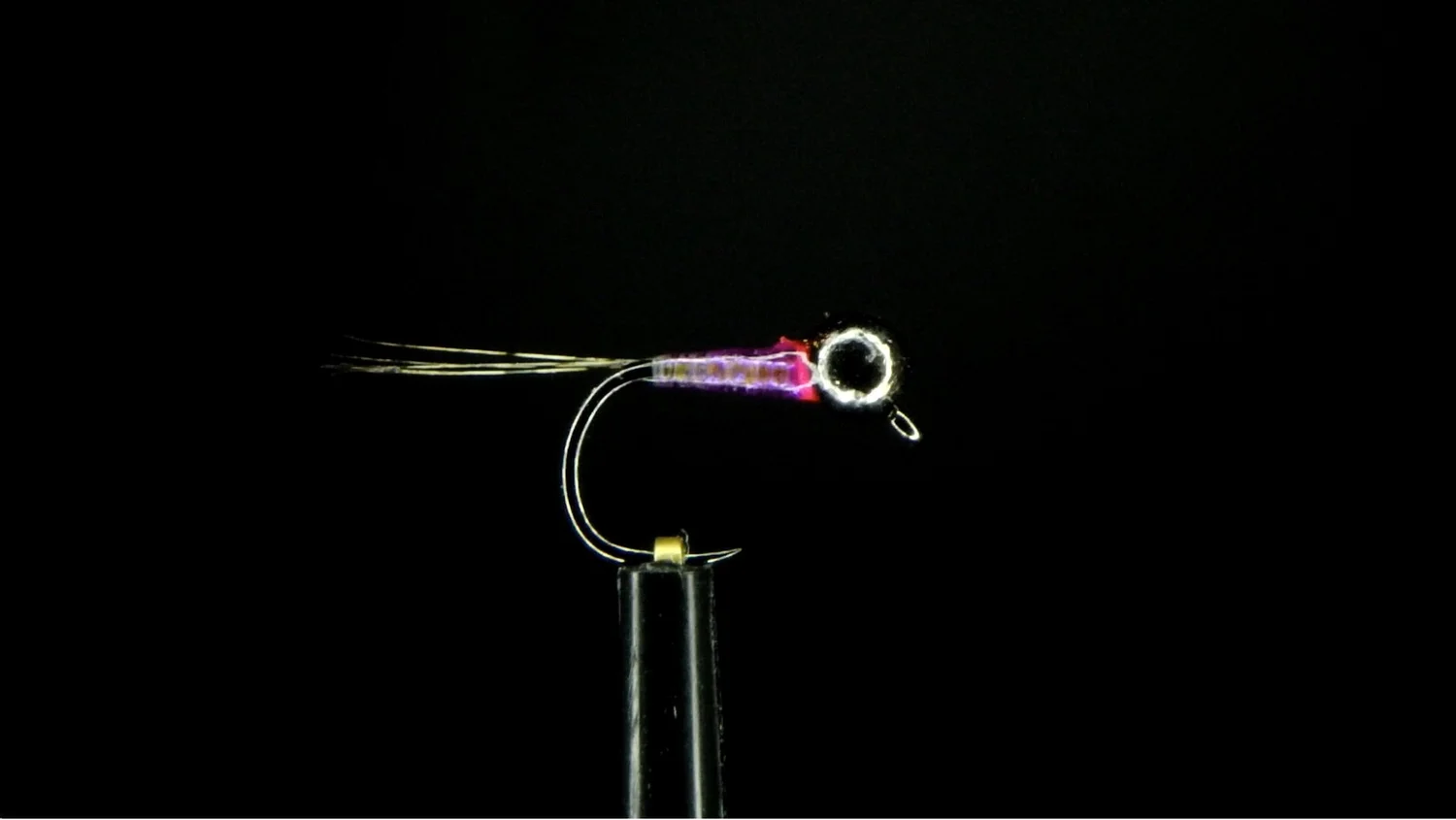 Fly Tying Euro Nymph - Nymph Flies for Fly Fishing | Mayfly | Stonefly ...