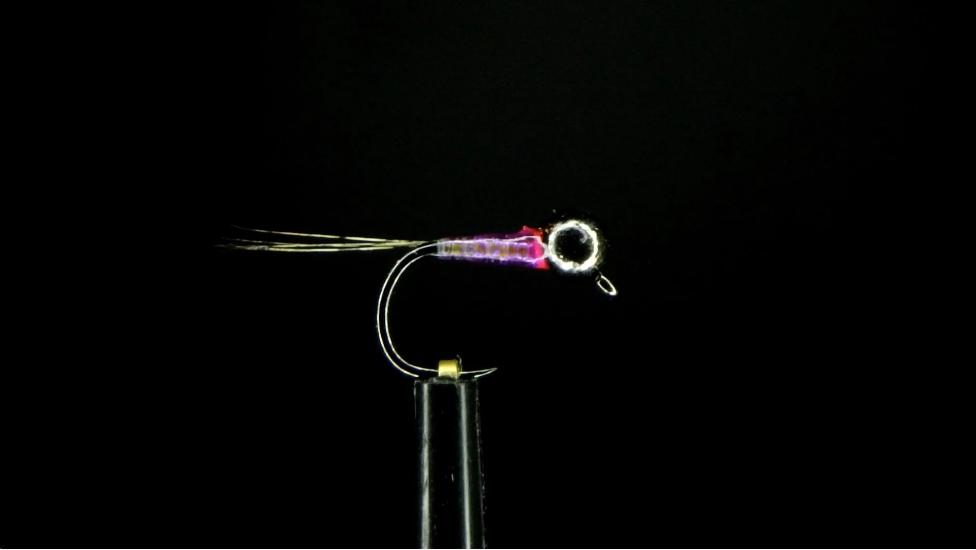 Fly Tying Euro Nymph - Nymph Flies for Fly Fishing | Mayfly | Stonefly ...