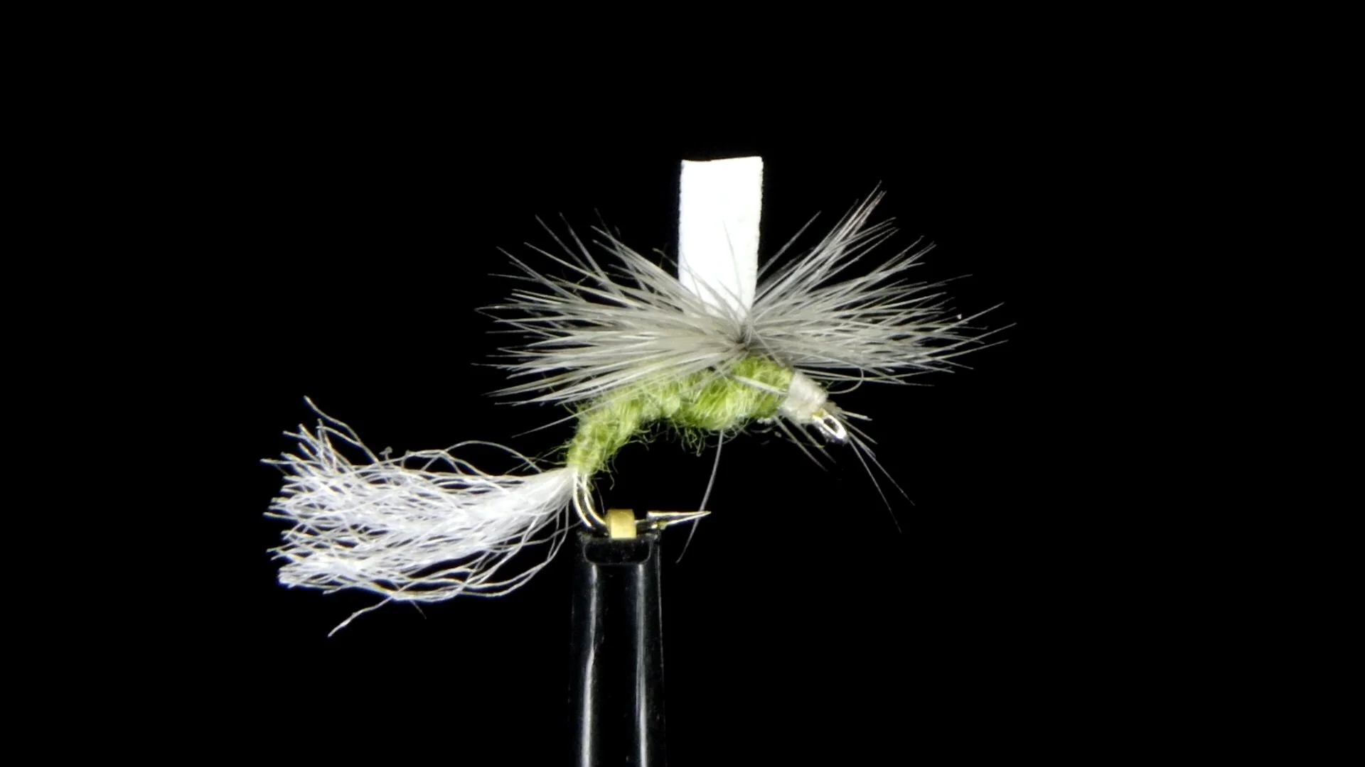 Griffith's Gnat — First Drift Fly Co