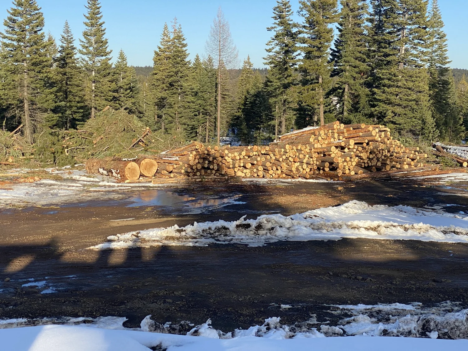 Gallery — Longview Ranch