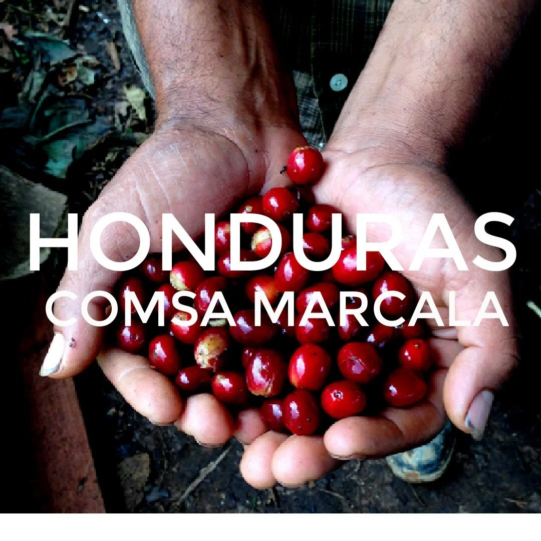 Shop for Coffee — 19 Coffee Company