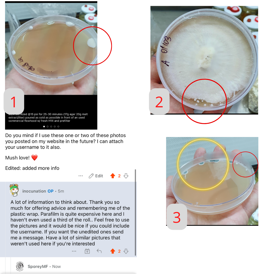 Contamination Examples — Fresh Off The Cap