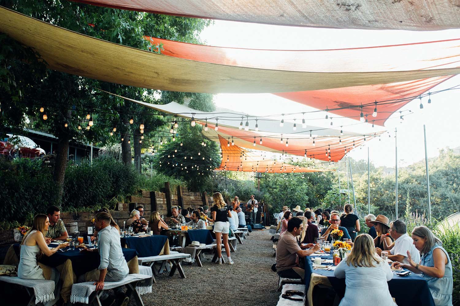 Farm to Table Experience — Sage Hill Ranch Gardens
