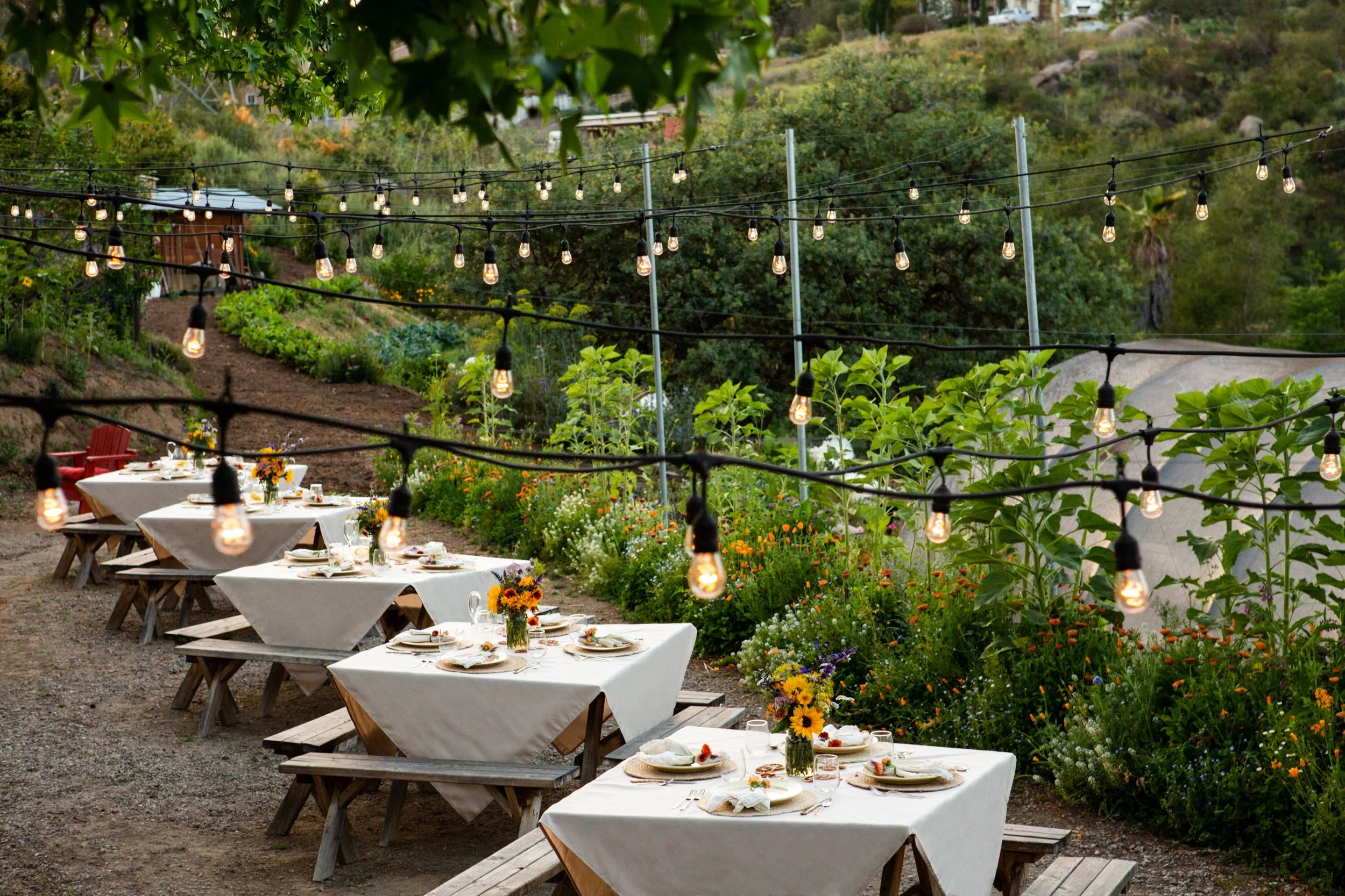 Events at the Farm — Sage Hill Ranch Gardens