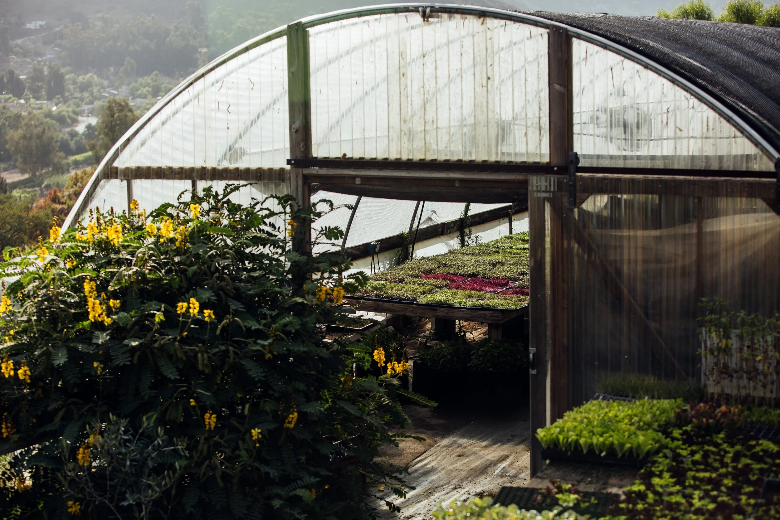 Non Profit — Sage Hill Ranch Gardens