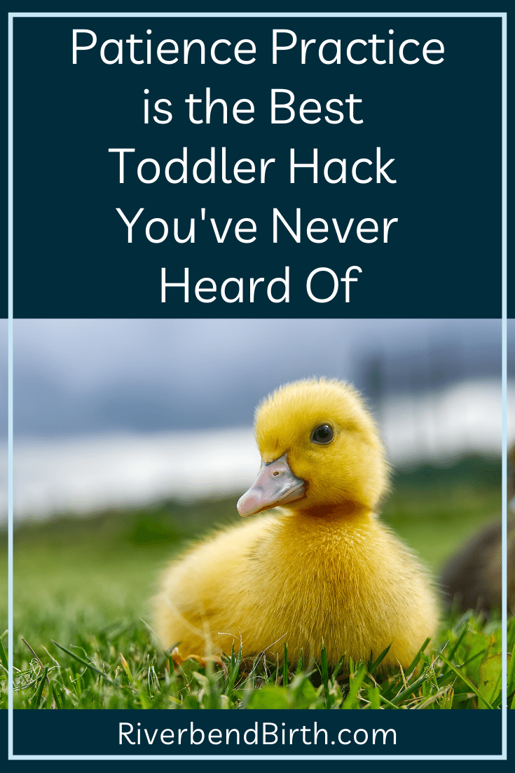 Patience Practice is the Best Toddler Hack You’ve Never Heard Of