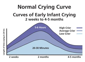 The Infant Crying Curve Explained