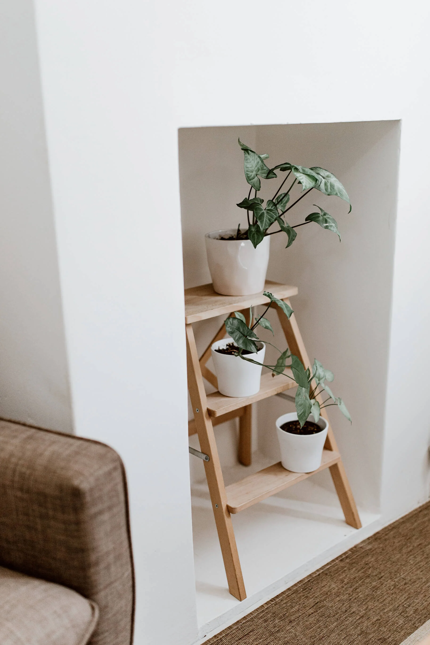 About — Little Window