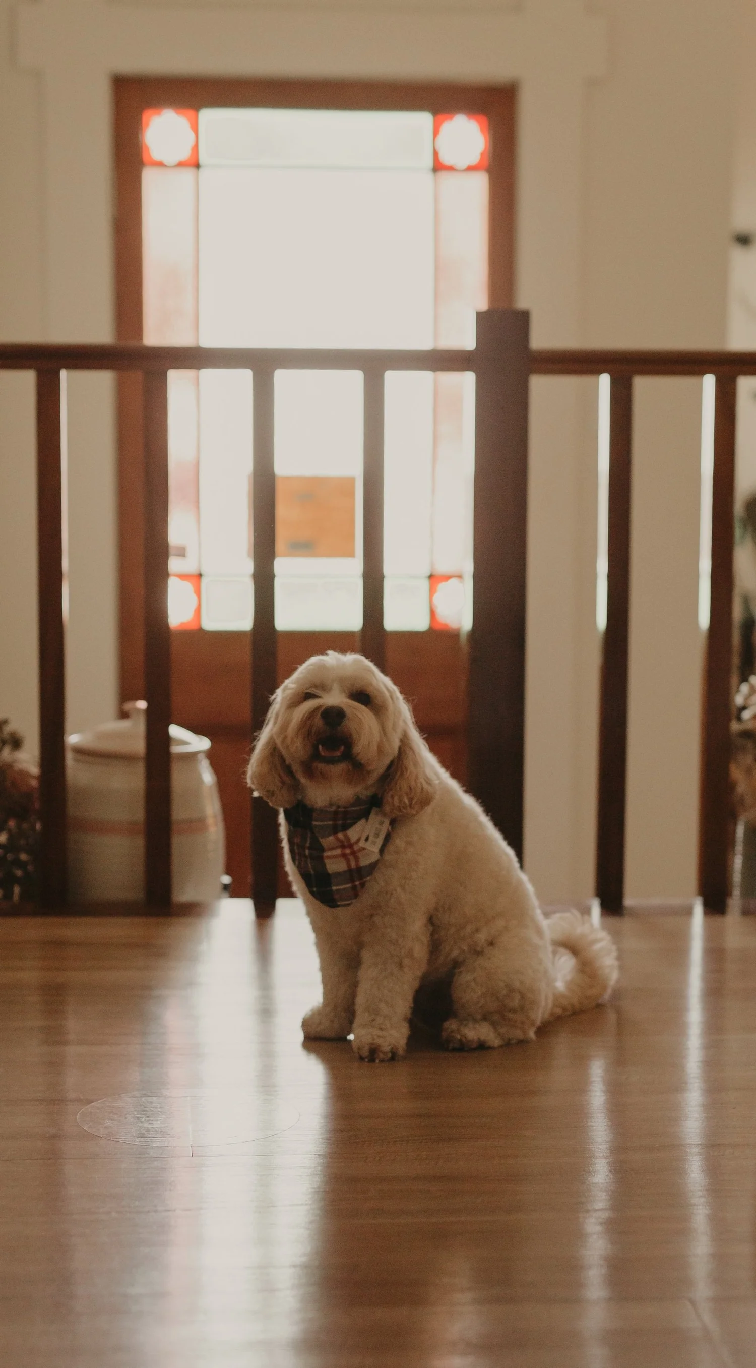Ted — Little Window
