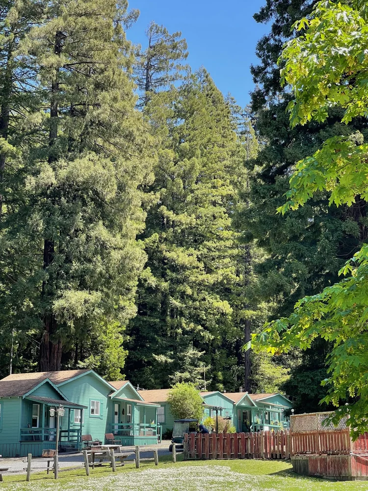 Redcrest Resort Cabins & RV Park | Discover Southern Humboldt