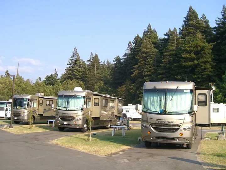 Ancient Redwoods RV Park | Discover Southern Humboldt