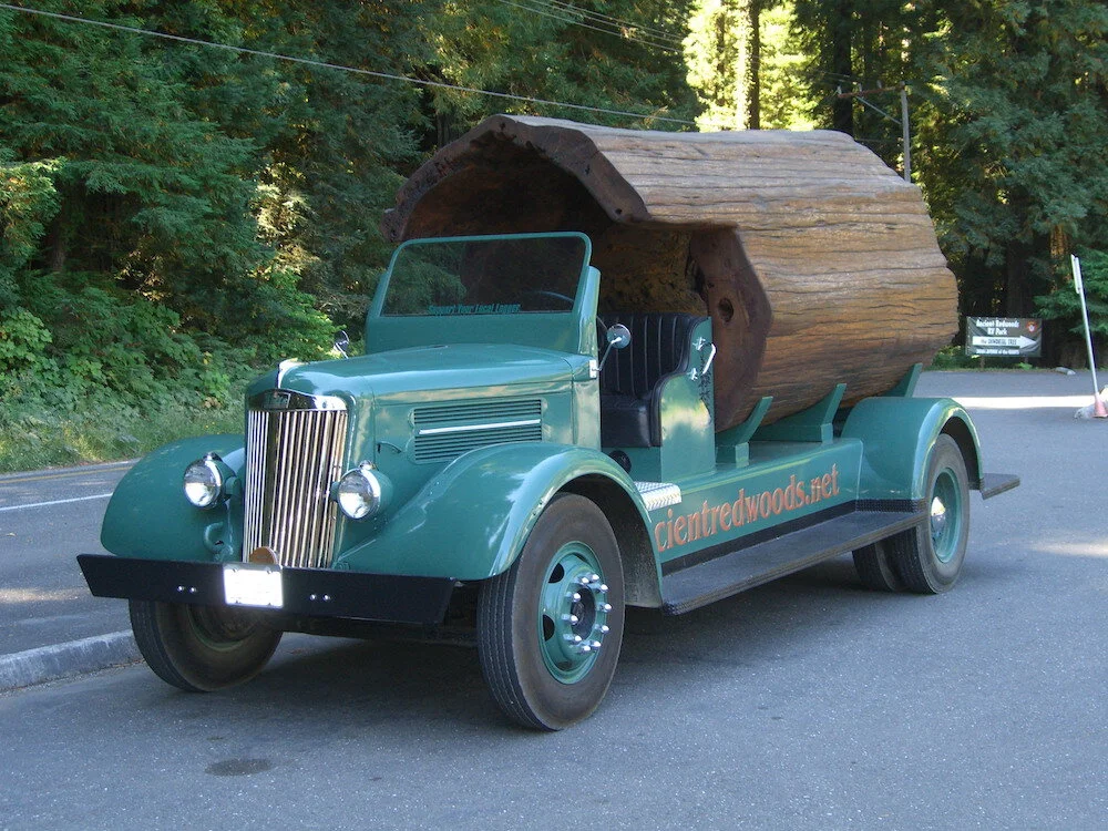 Ancient Redwoods RV Park | Discover Southern Humboldt