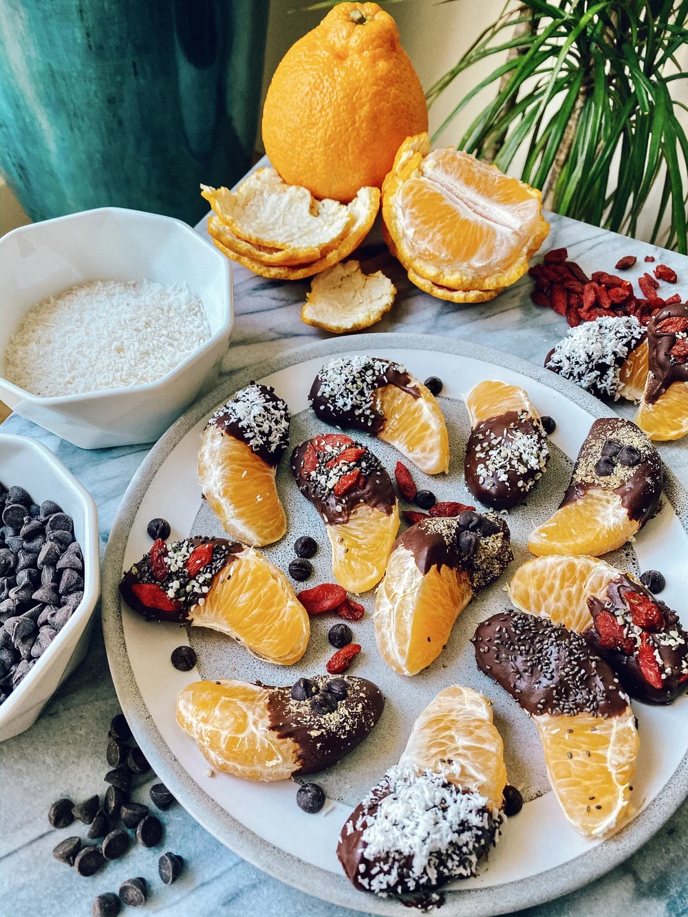 CHOCOLATE COVERED SUMO CITRUS SUPERFOOD BITES — Healthy Mood SF