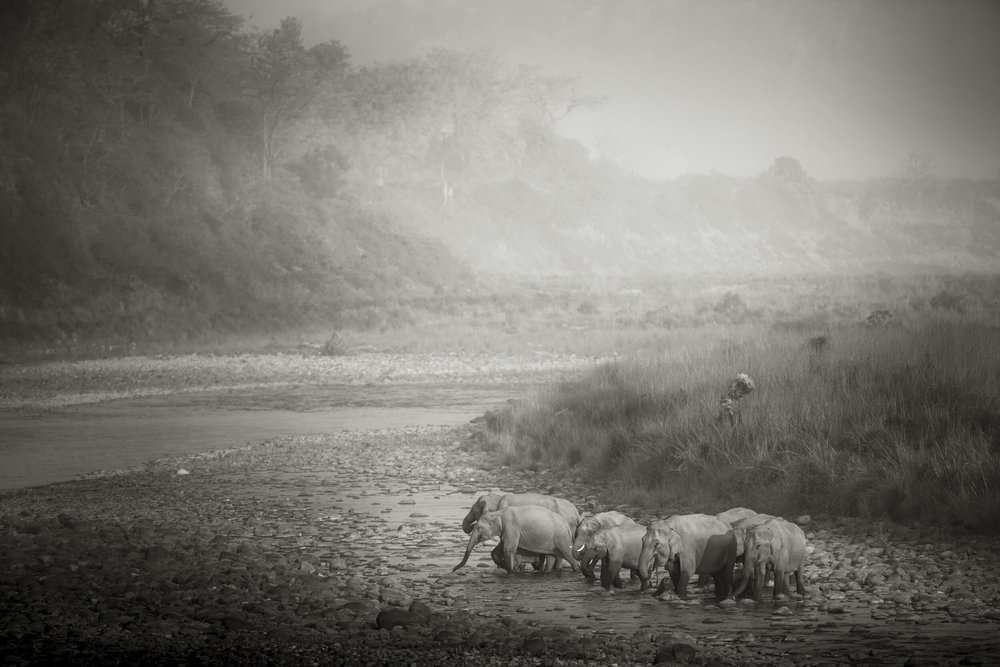 WILDLIFE — Purdy Photography