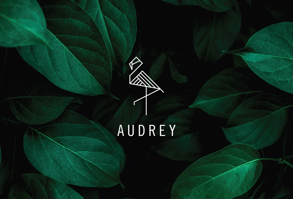 Audrey — Agency Four