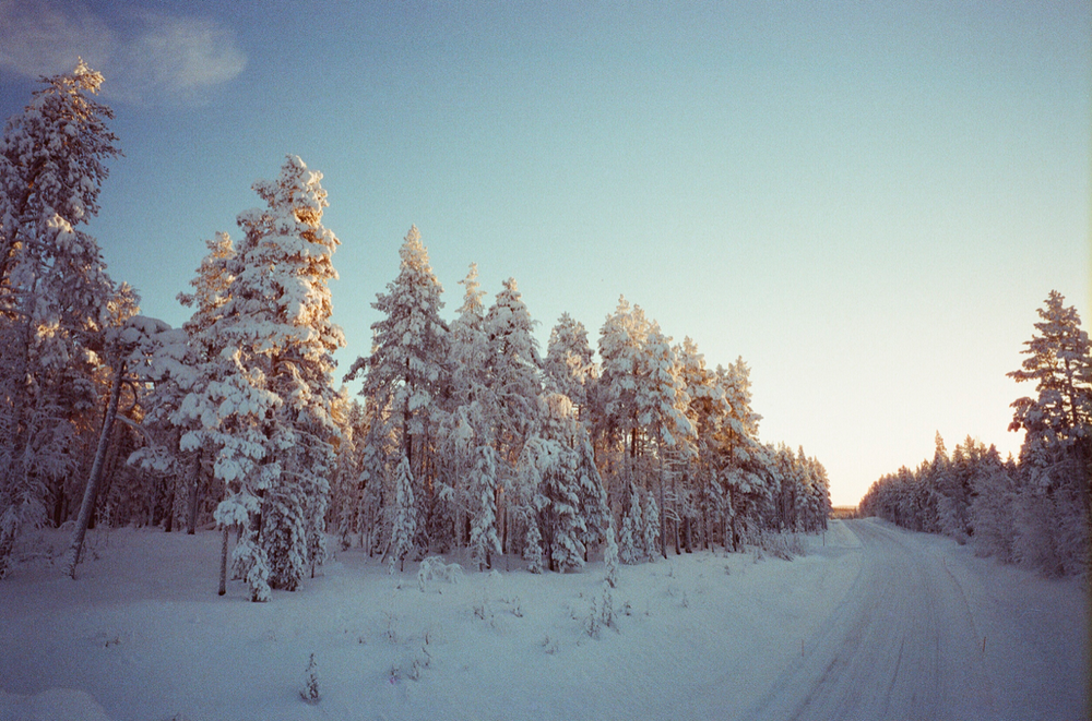 6 Best Film Stocks to Shoot During the Winter — Nice Notes