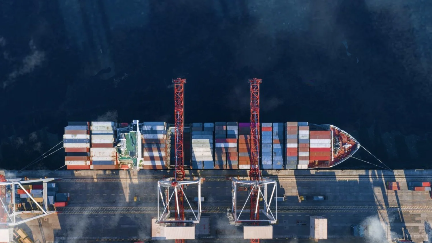 Risk Intelligence Strategy 2025 | Highlights and download