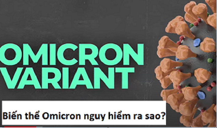 Project Vietnam Foundation