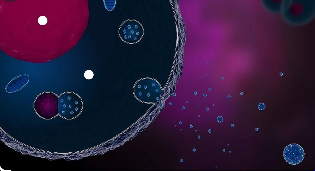 Hair — Young Again Aesthetics