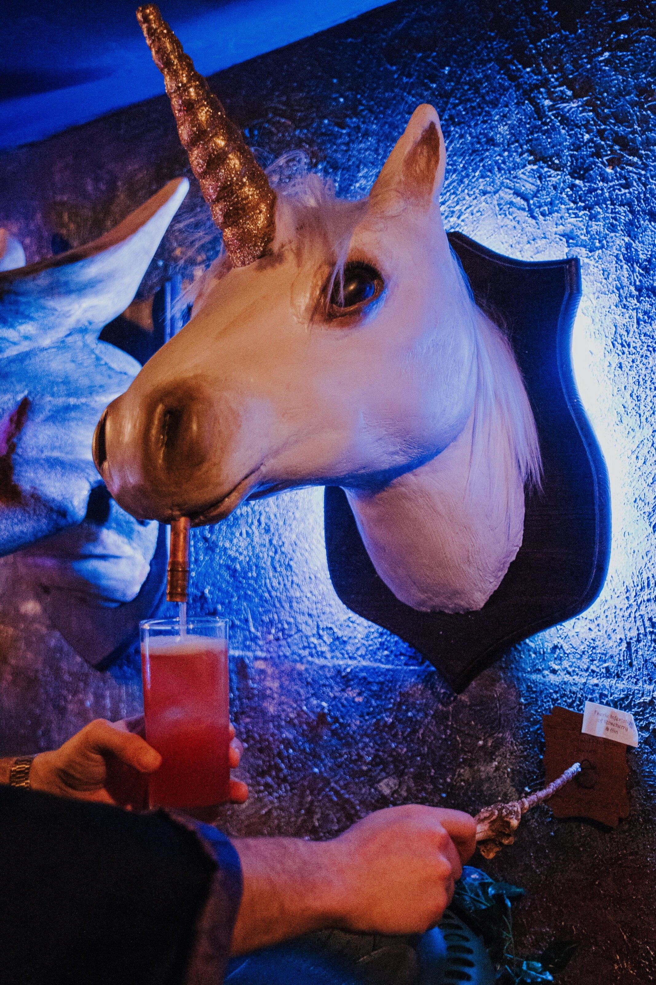 your-magic-wand-experience-confirmation-wizard-exploratorium