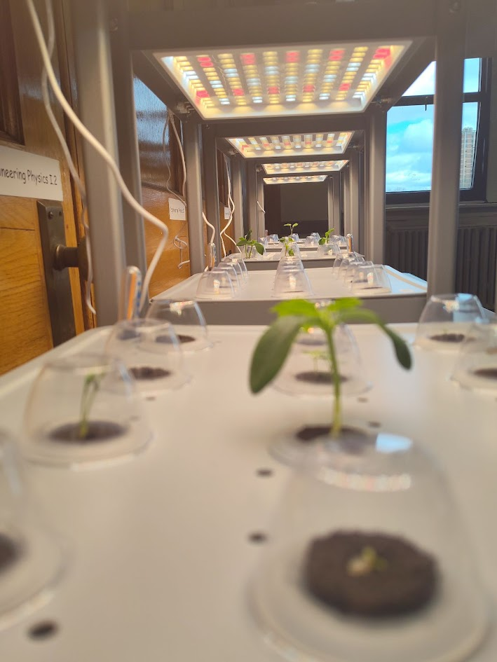 Mbot & Tello Drone STEM Equipment For Education I NextWaveSTEM