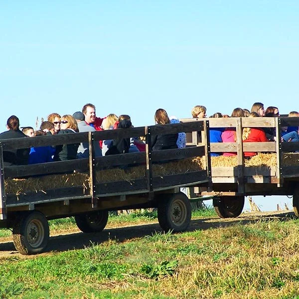 Guthrie Pumpkin Farms & Corn Maze