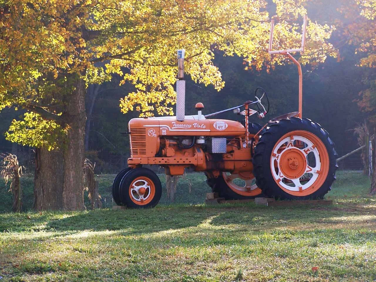 Guthrie Pumpkin Farms & Corn Maze
