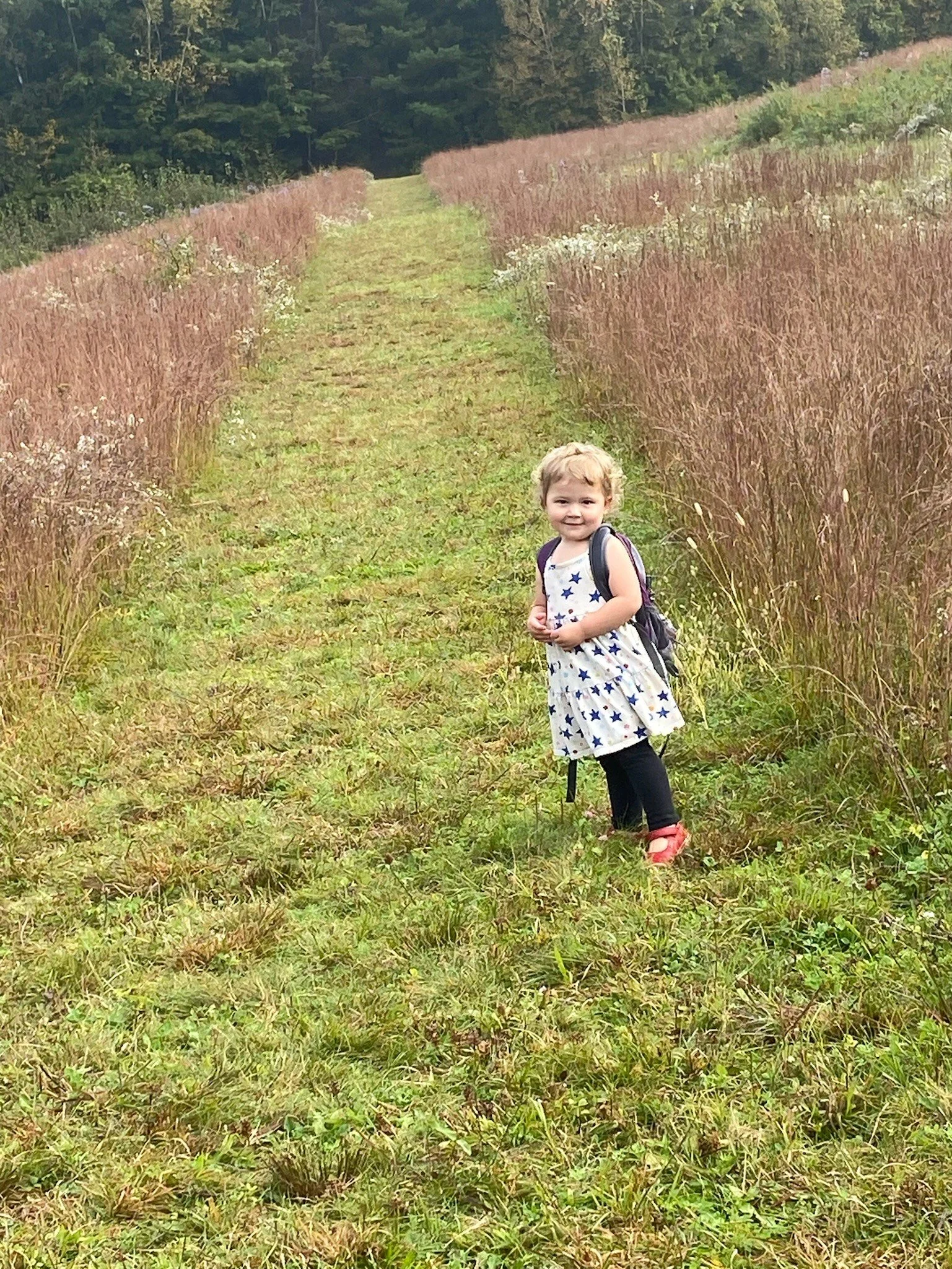 Dancing Primes Move Together (Toddlers) — The Center School