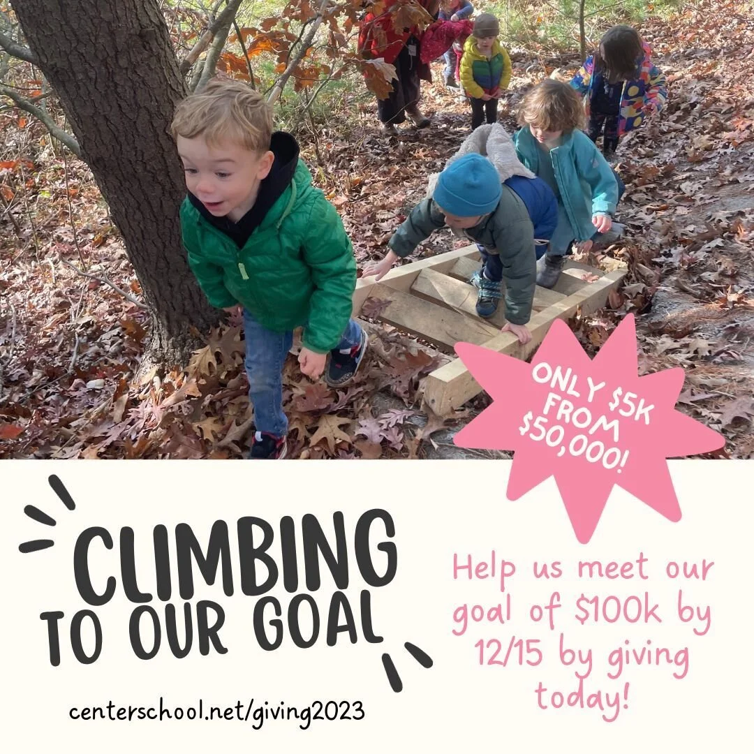 The Center School — Rigorous Education For Deep Thinkers And Creative ...