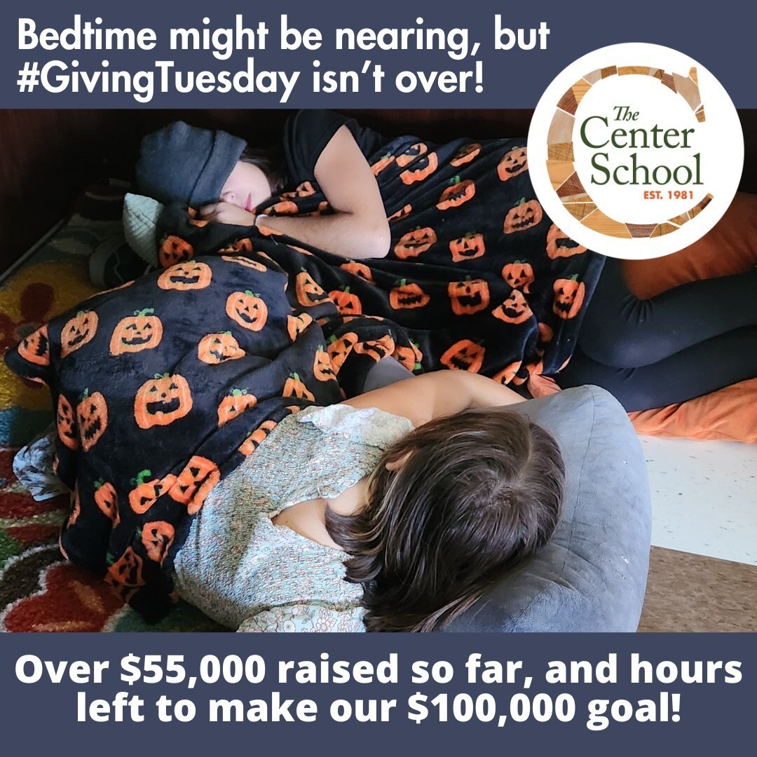 The Center School — Rigorous Education For Deep Thinkers And Creative ...