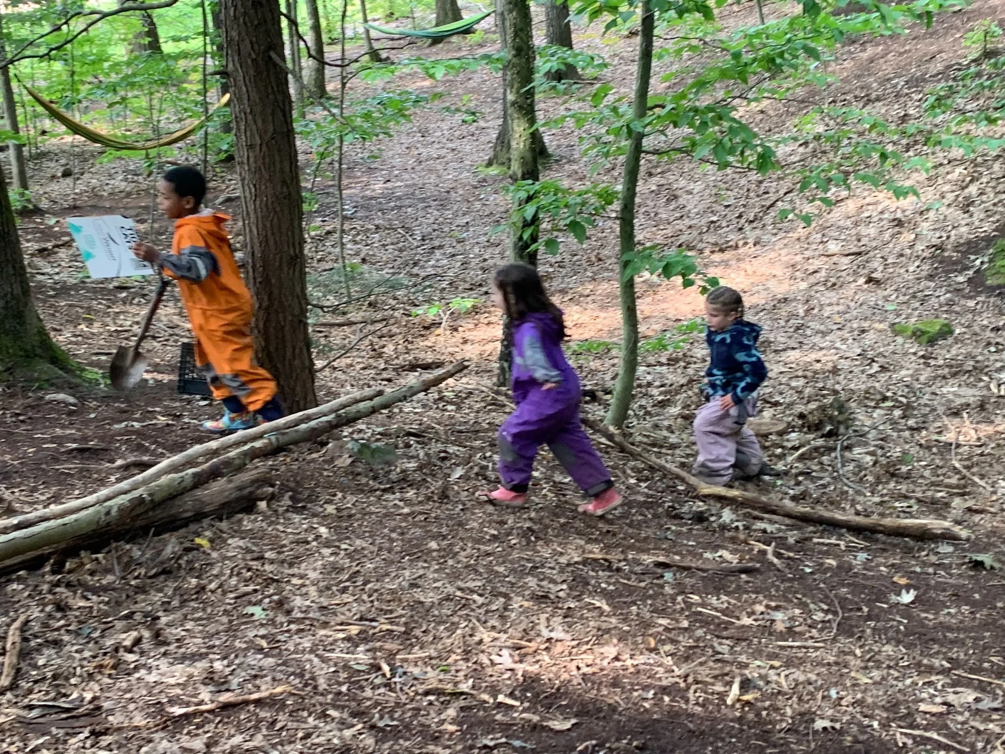 The Documentation, Interpretation, and Reflection Cycle of Inquiry in ...