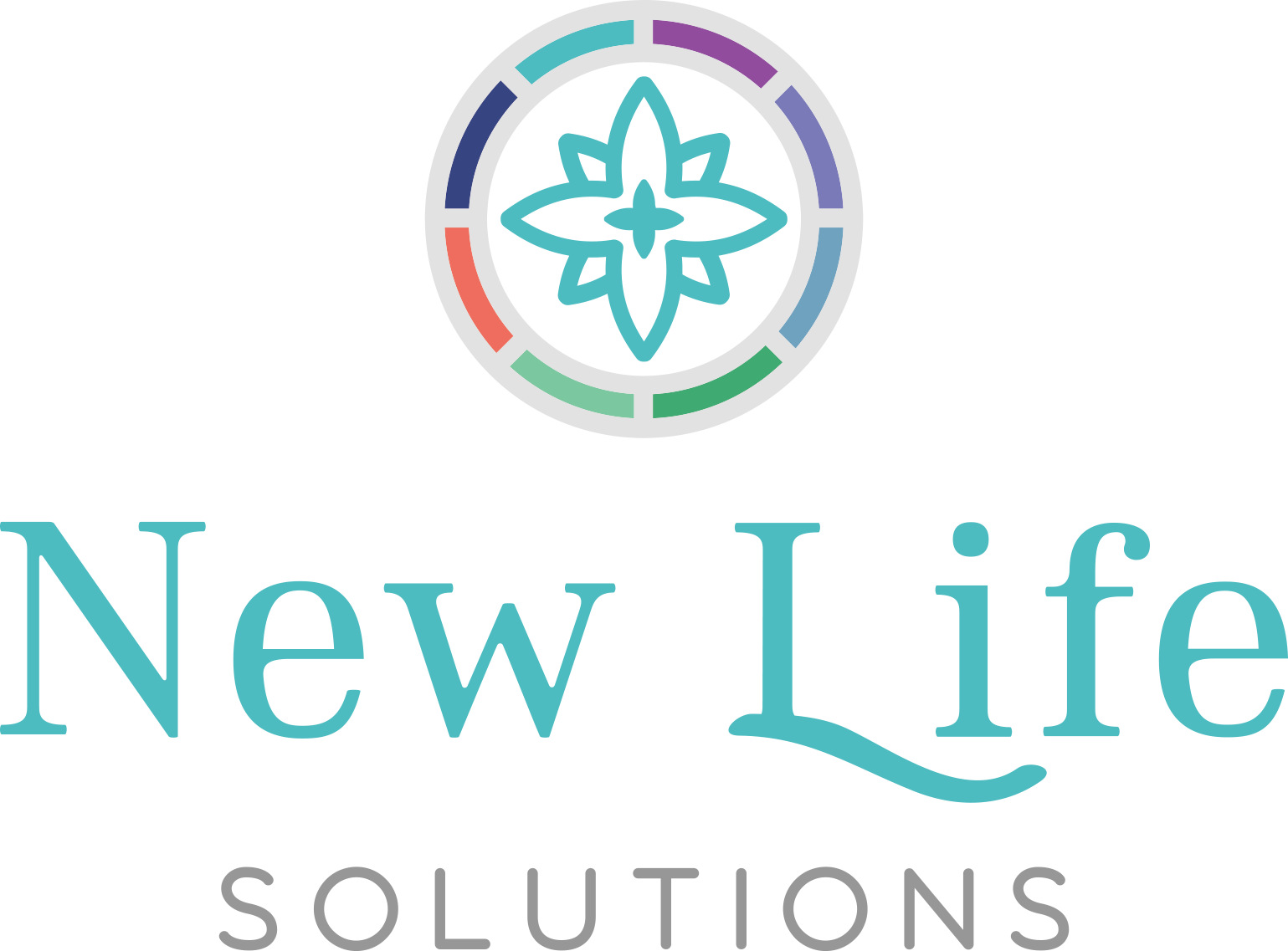 Volunteer — New Life Solutions
