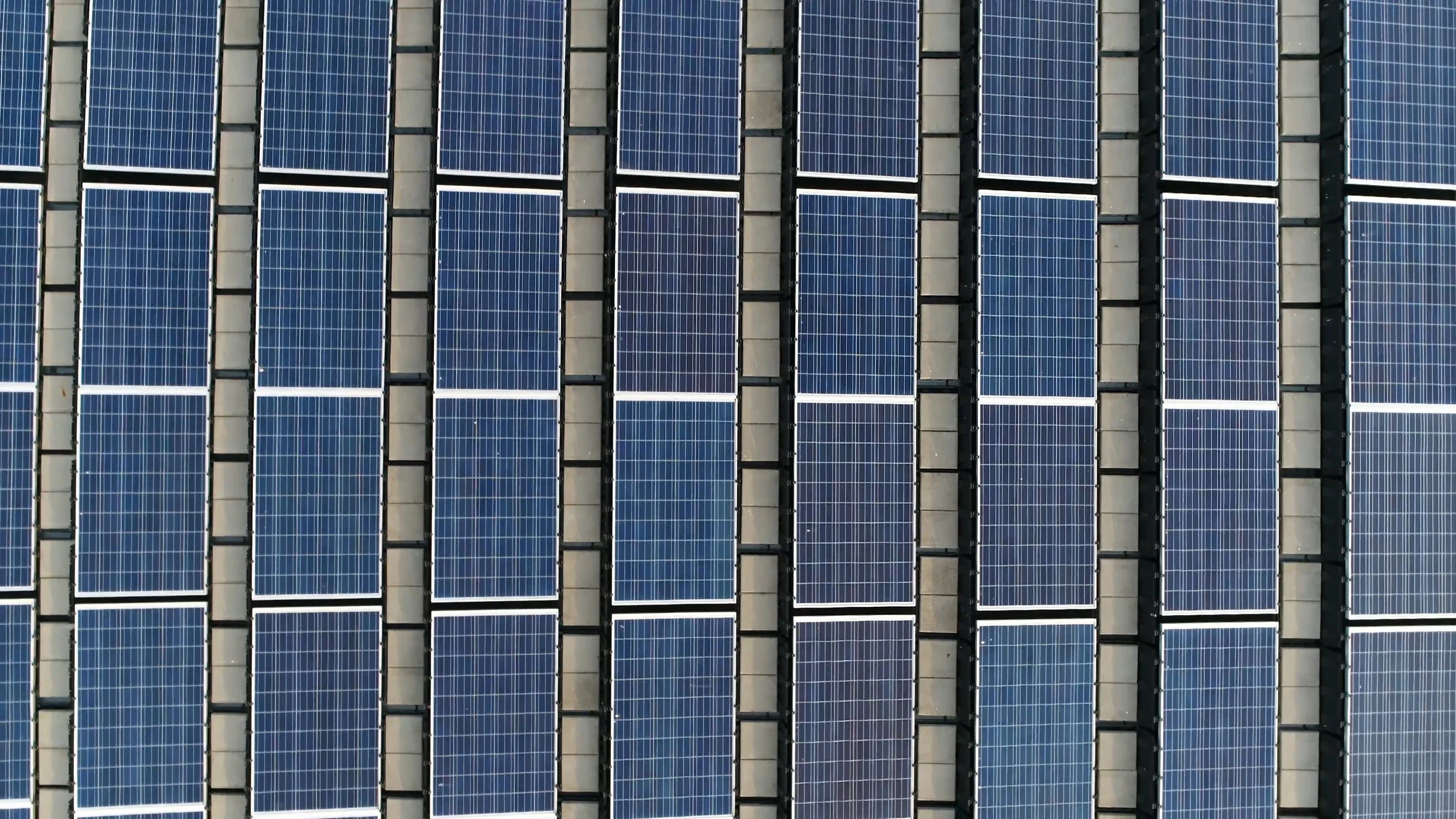 Blog 2 — Raw Energy 2