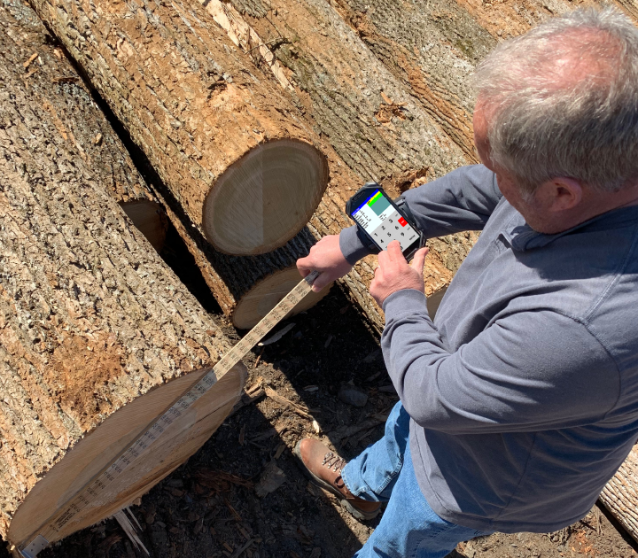 Forestry Systems - Software — Forestry Systems Inc