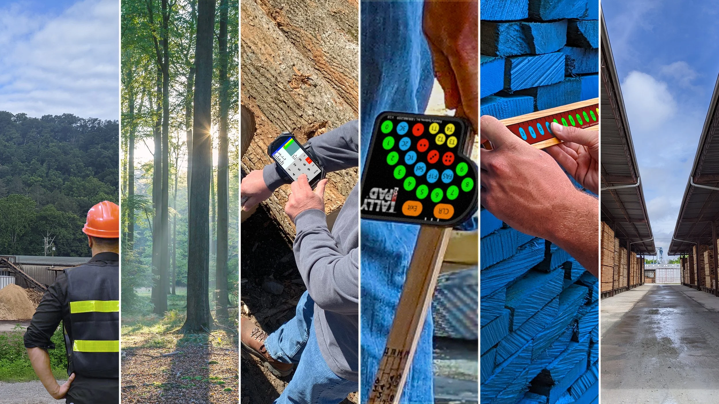 Software — Forestry Systems Inc