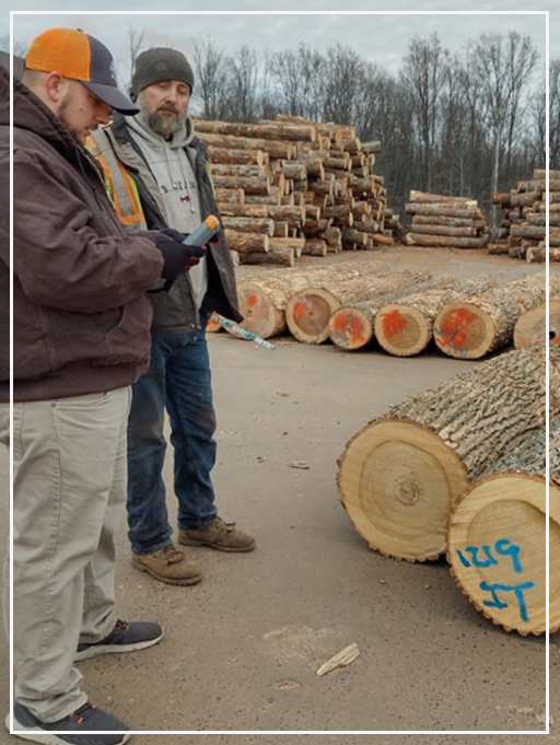 Software — Forestry Systems Inc