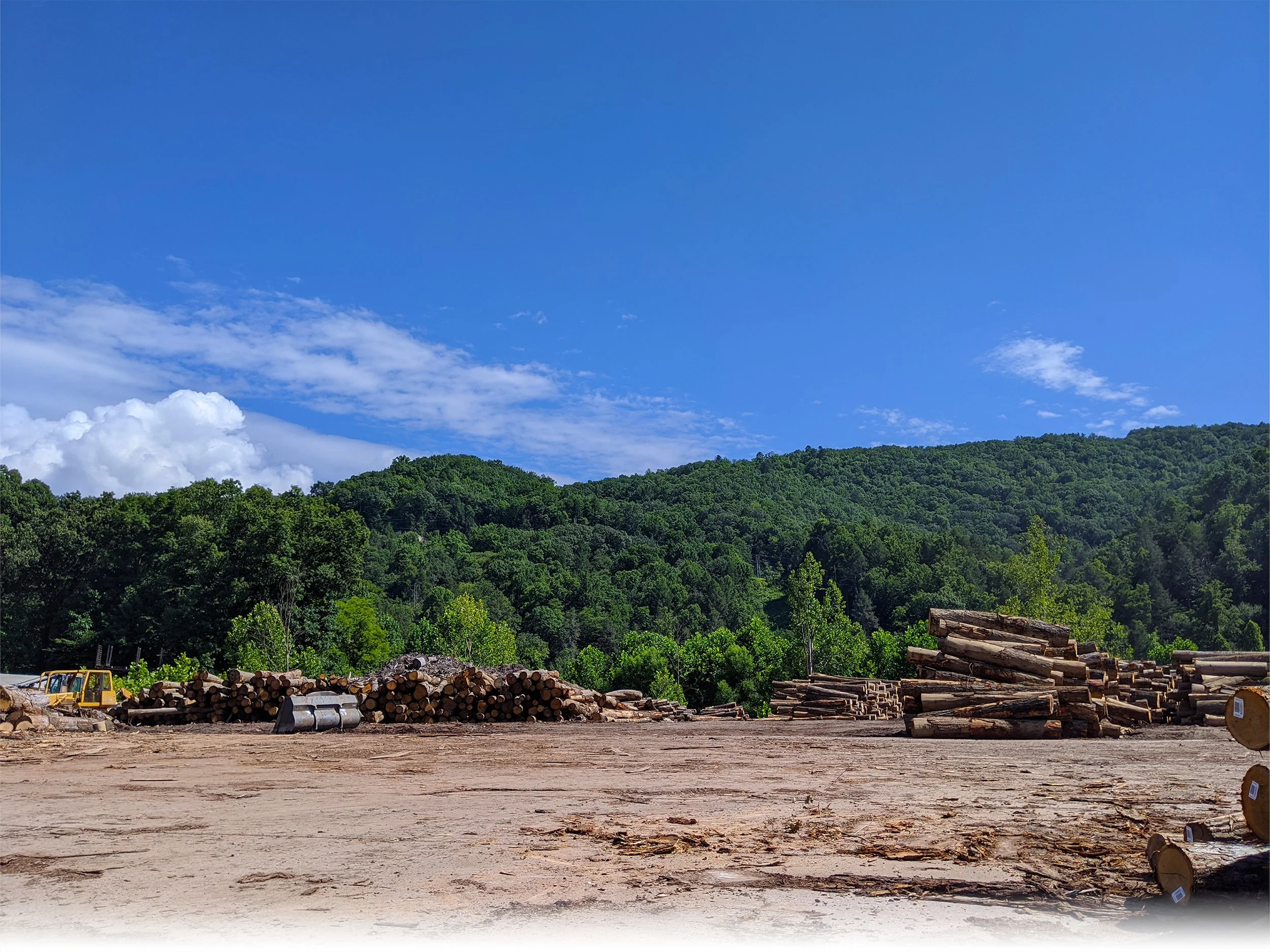 Forestry Systems Inc