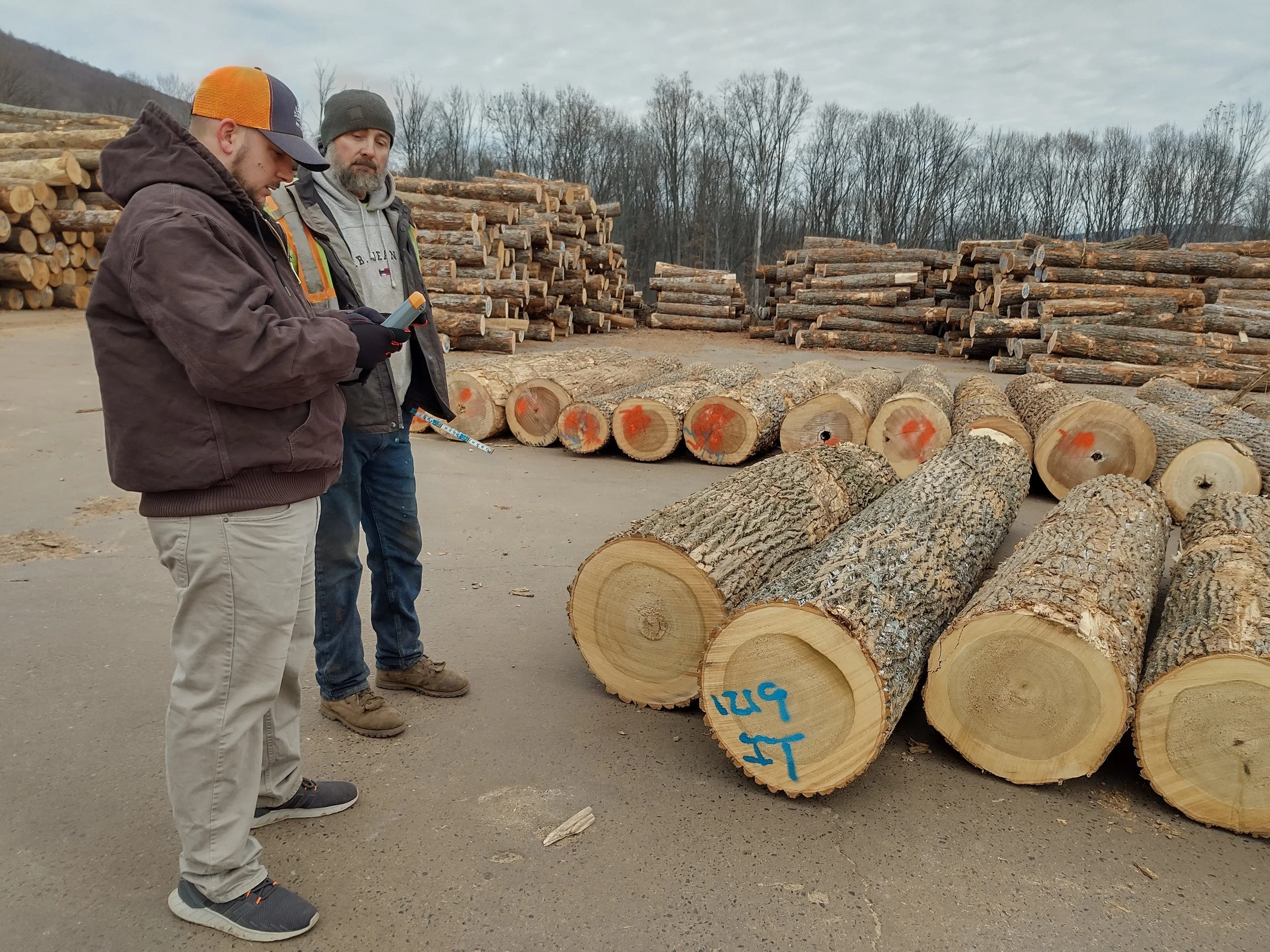 Handhelds — Forestry Systems Inc