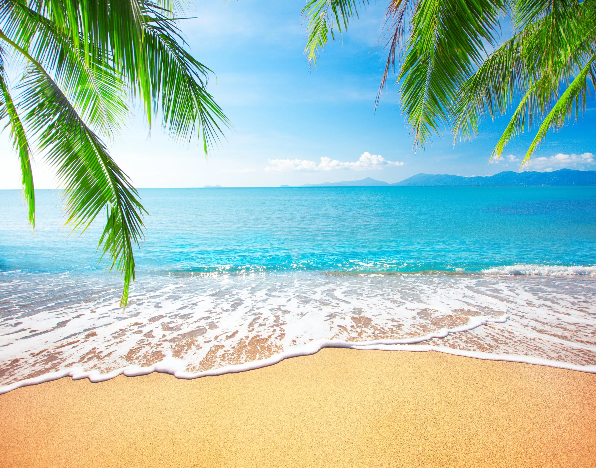 Sandbars to Visit — Sand Bar Rental Boats