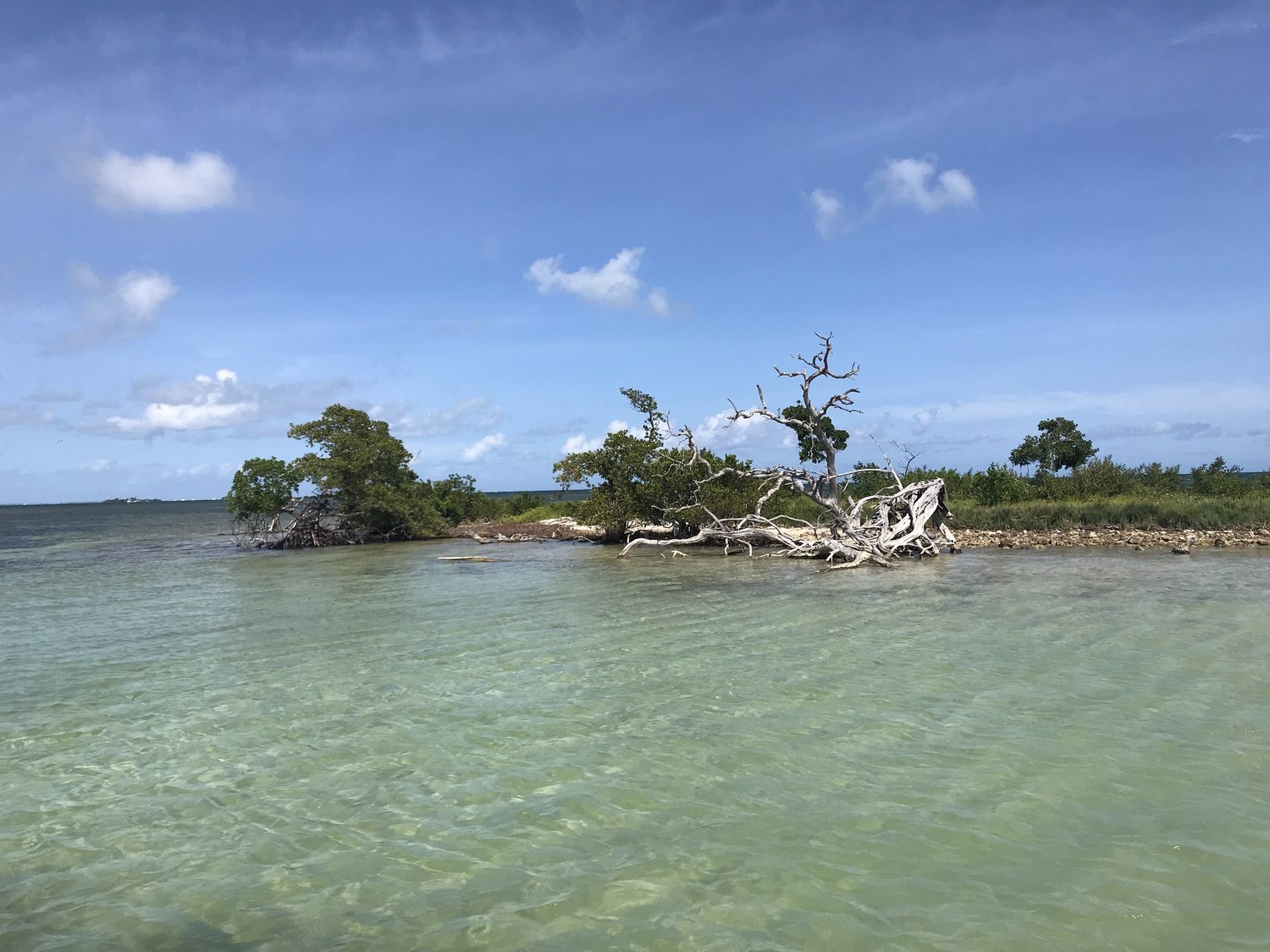 Sandbars to Visit — Sand Bar Rental Boats