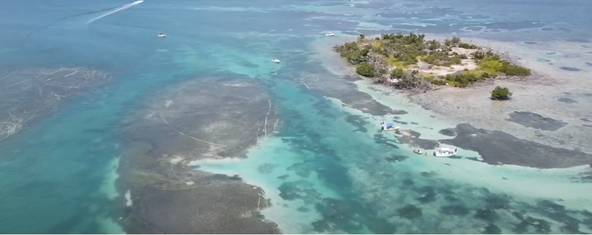 Sandbars to Visit — Sand Bar Rental Boats