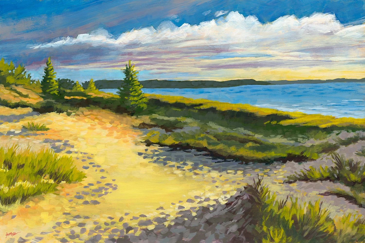 A collection of Amy Peterman's recent works available for purchase ...