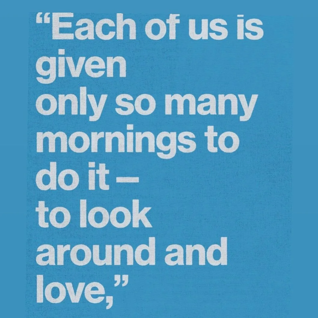 SARAH YOURGRAU Sarah Yourgrau