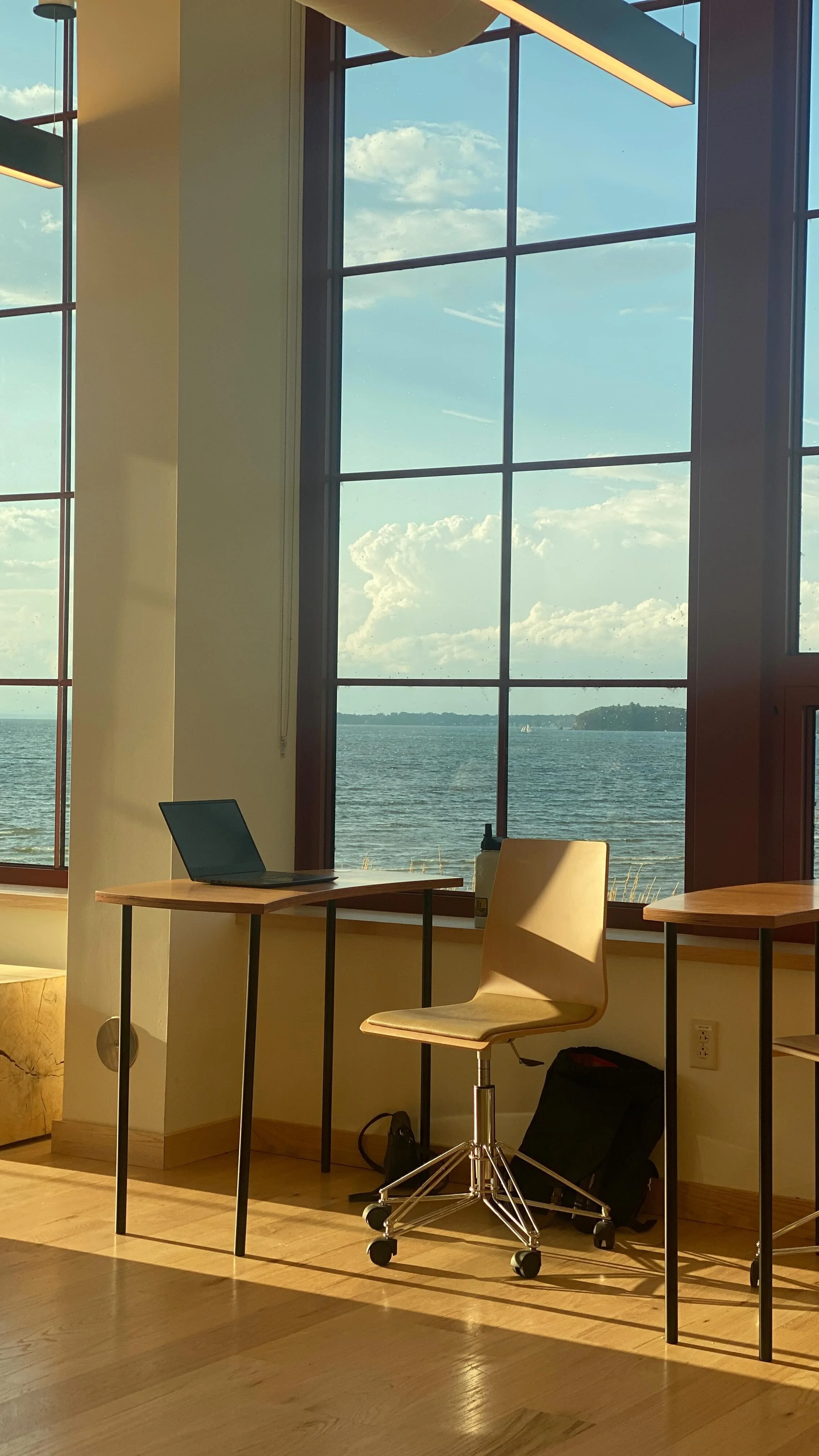 SARAH YOURGRAU Sarah Yourgrau