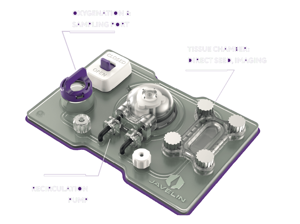 Javelin Biotech — Liver Tissue Chip (LTC)
