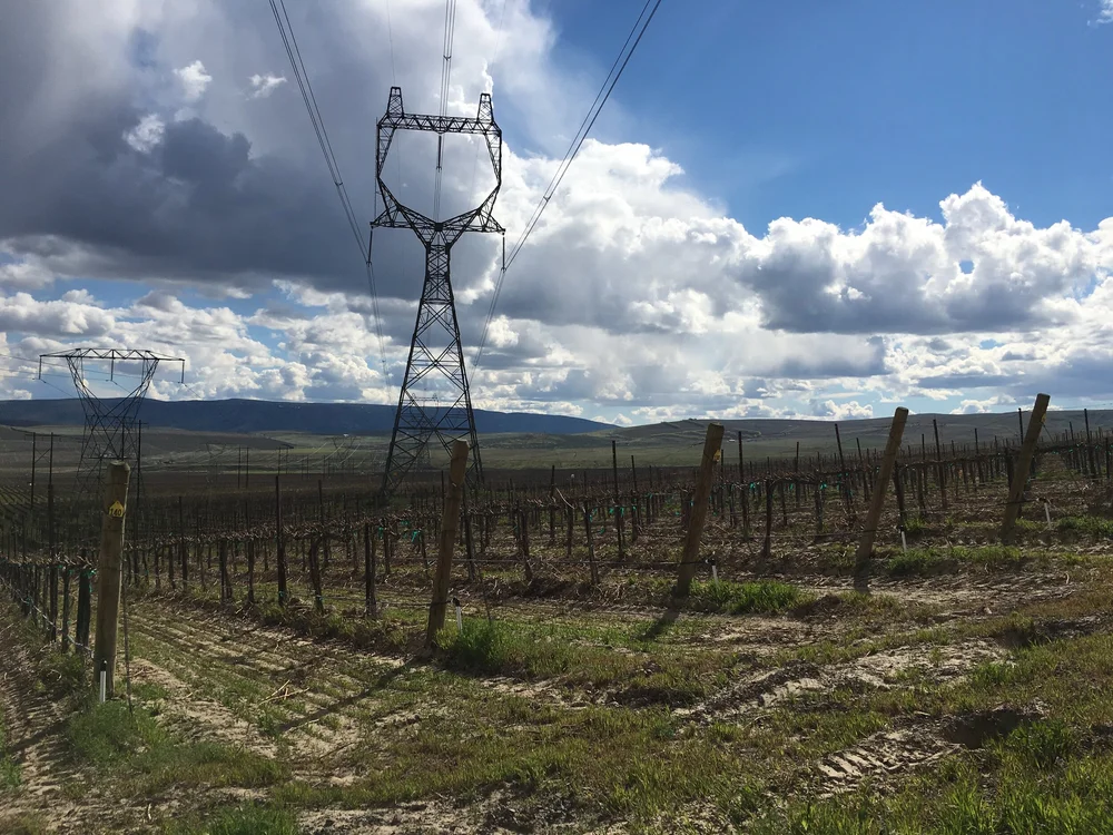 CESCL Stormwater Certification — Greenwood Environmental